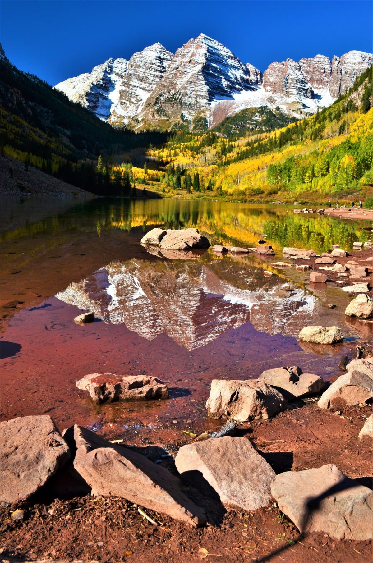 A Colorado Road Trip (Part 2) - In Search of Aspen Gold in Aspen, CO ...