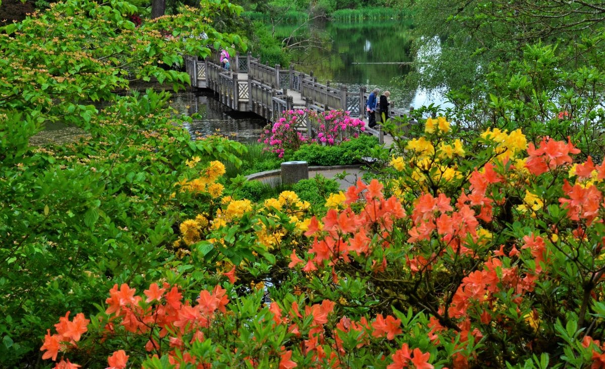 A Spring Day in My Favorite Portland Gardens - Quiltripping