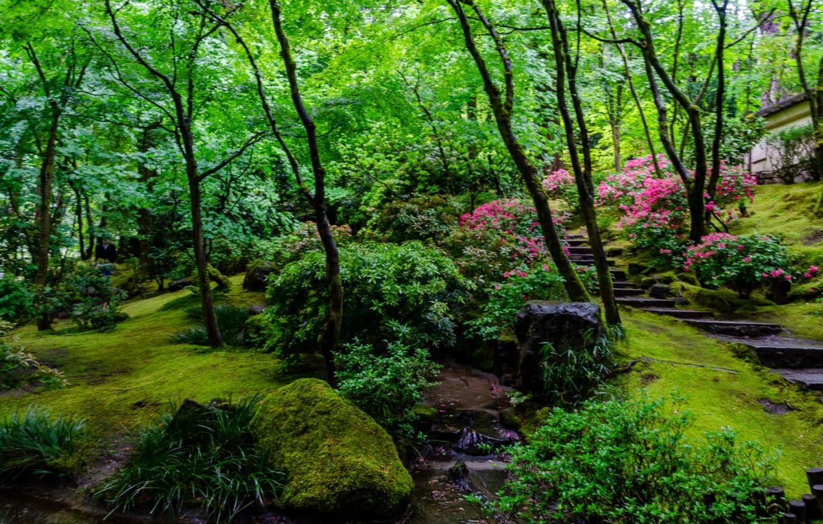 A Spring Day in My Favorite Portland Gardens - Quiltripping