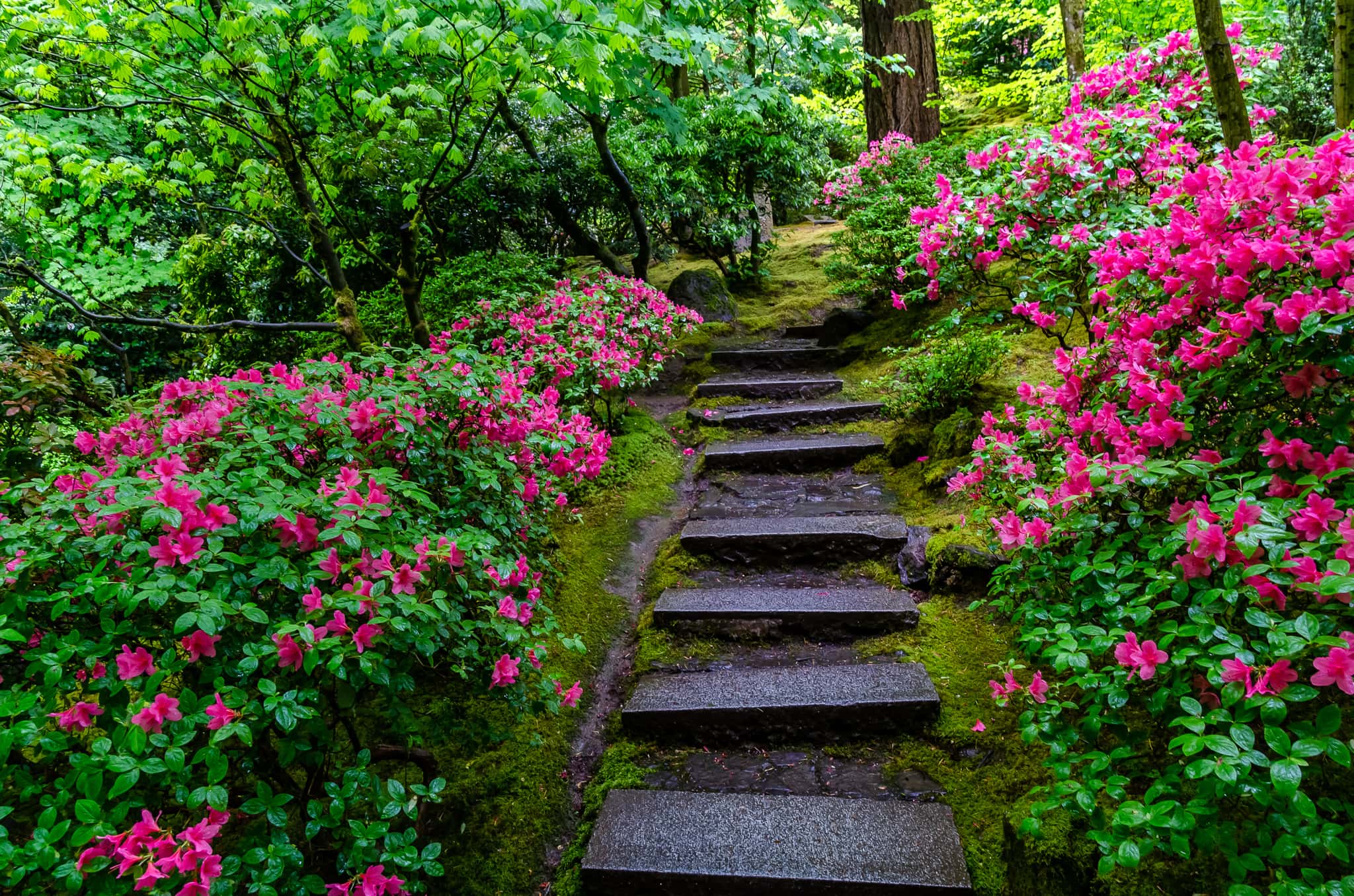 A Spring Day in My Favorite Portland Gardens - Quiltripping