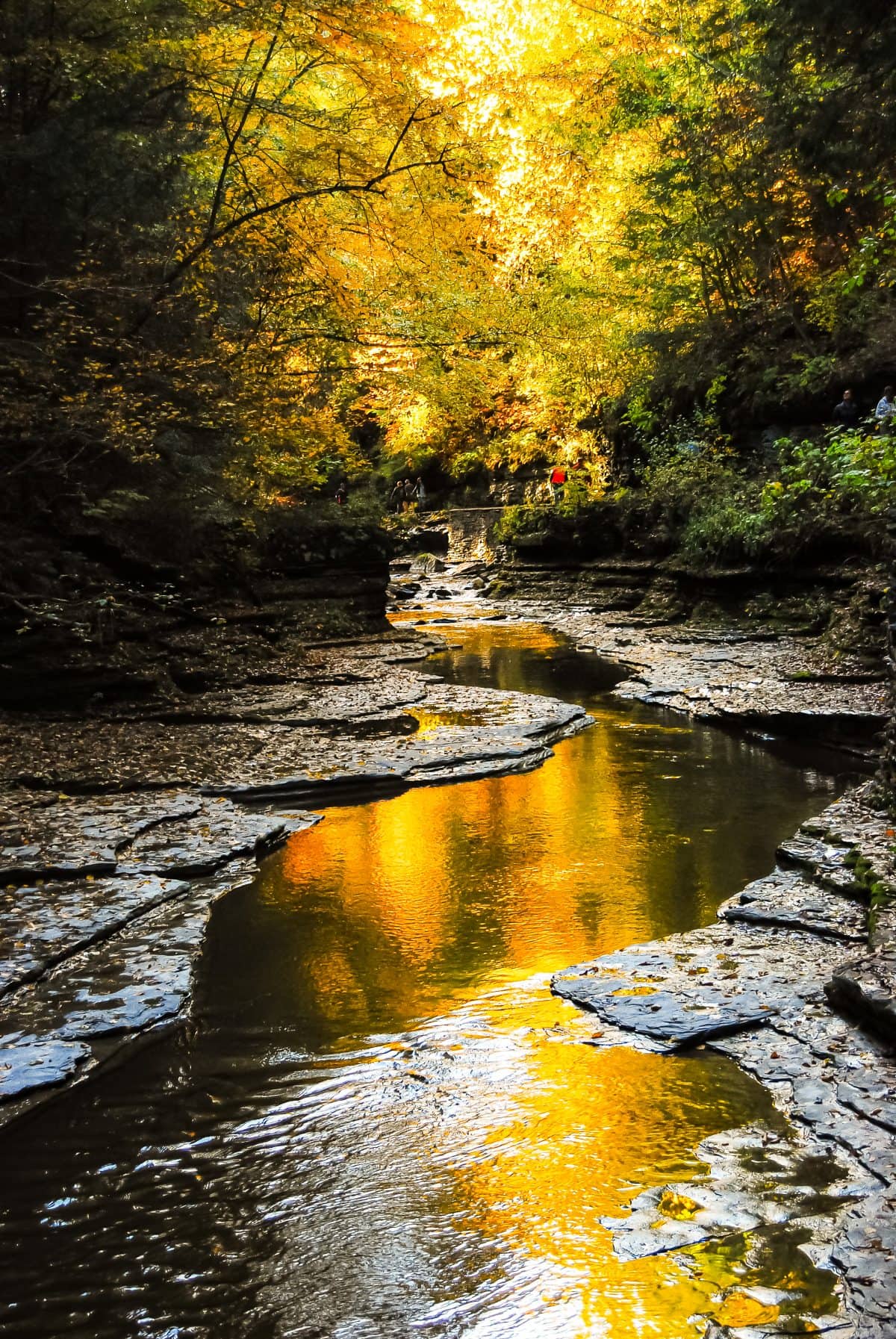Escape on a Getaway to the Finger Lakes in the Fall - Quiltripping