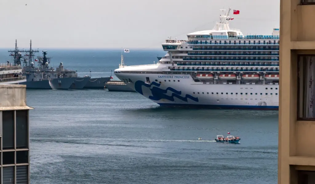 What Is A Princess Cruise to Antarctica Really Like? - Quiltripping