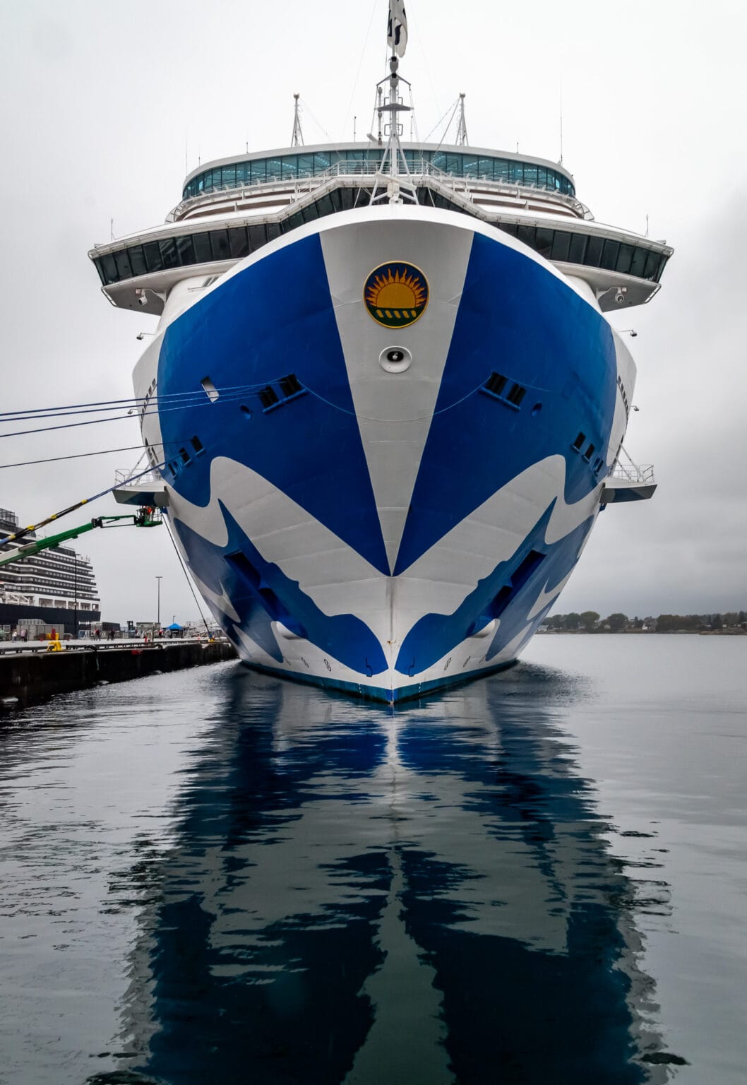 Discovering New Horizons with Princess - A Complete Discovery Princess ...