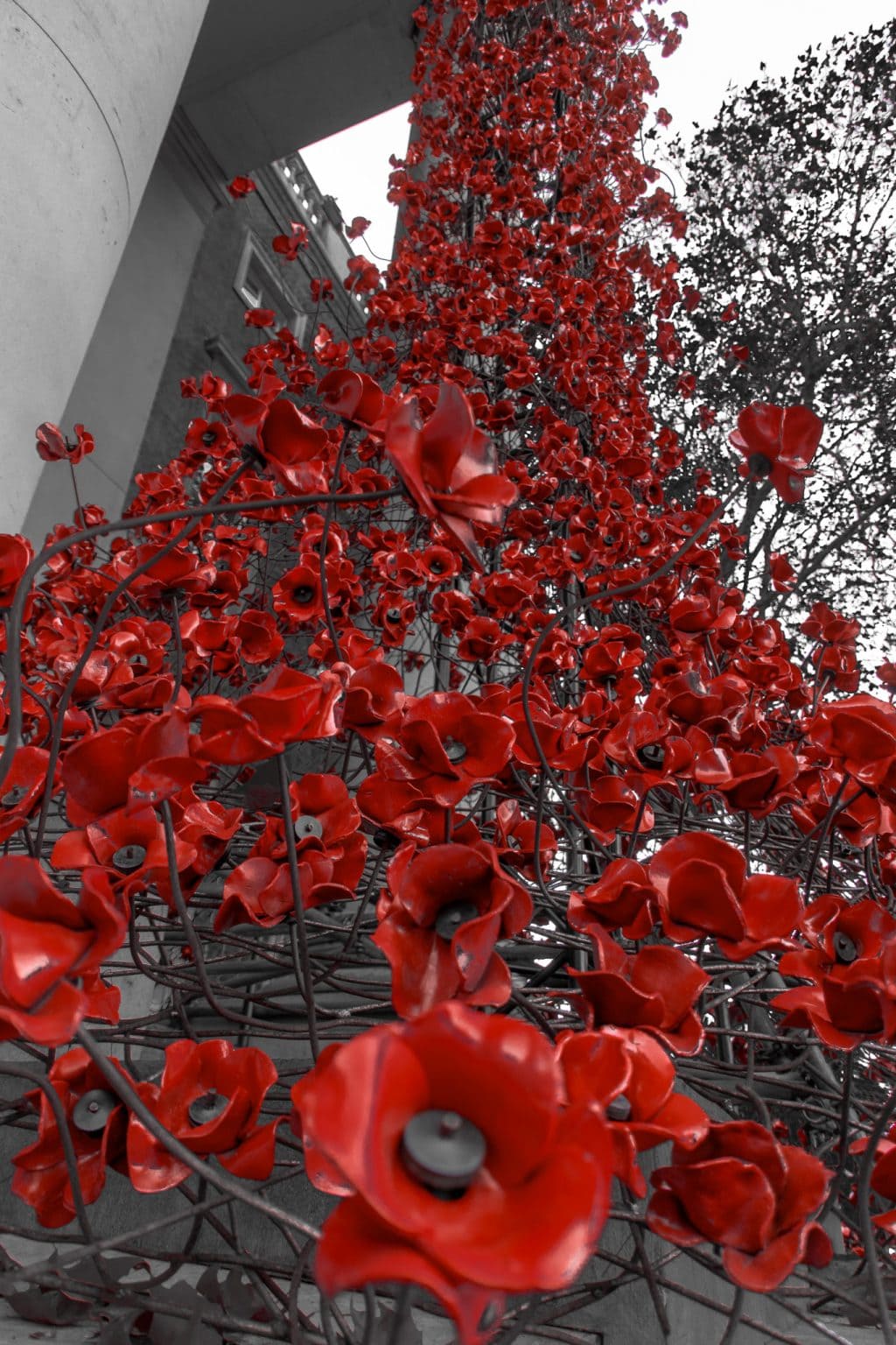 Remembering With Poppies in London - A Photo Essay - Quiltripping